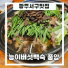 풍암동 능이버섯백숙 닭백숙 오리백숙해신탕삼계탕 맛집 네이버 블로그